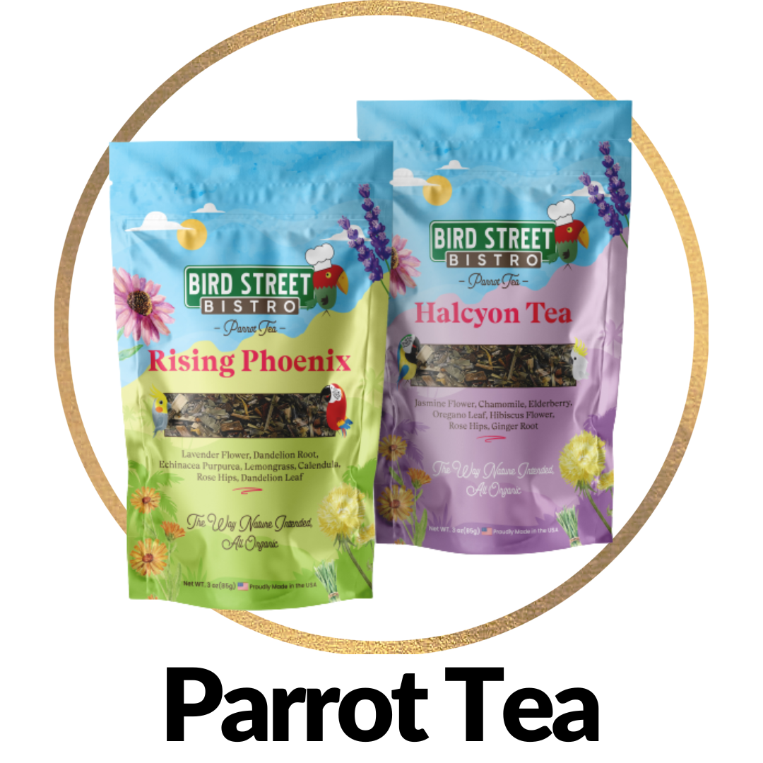 Parrot Tea – Bird Street Bistro